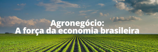 Agronegócio - Sociedade Nacional de Agricultura