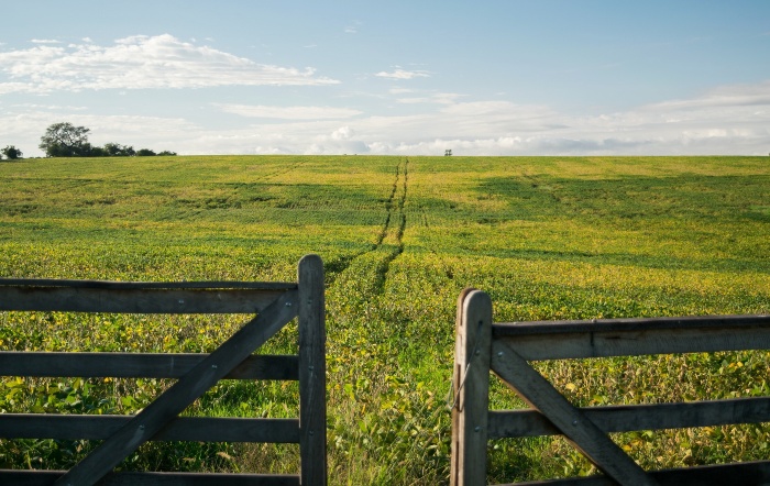 Brasil entregou 450 mil títulos de terras a produtores rurais entre ...