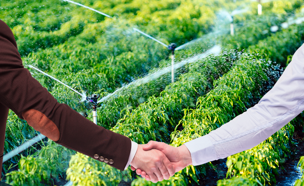 Tecnologias de ponta dinamizam operações de barter no agronegócio ...