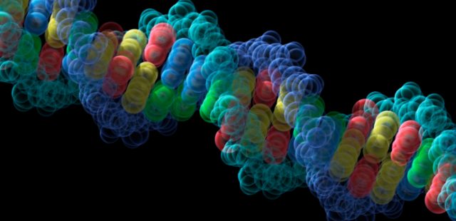 Artigo: ‘Por que sequenciamos genomas na Embrapa Agroenergia ...